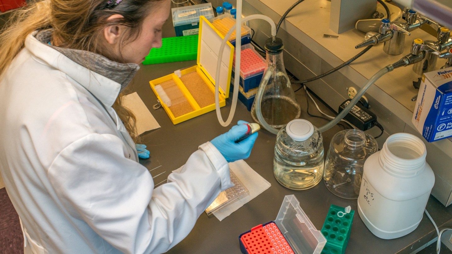 Translational Oncology | Legorreta Cancer Center | Brown University